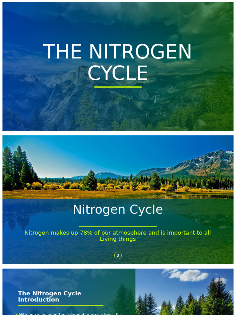 The Nitrogen Cycle | PDF | Nitrogen | Chemical Substances