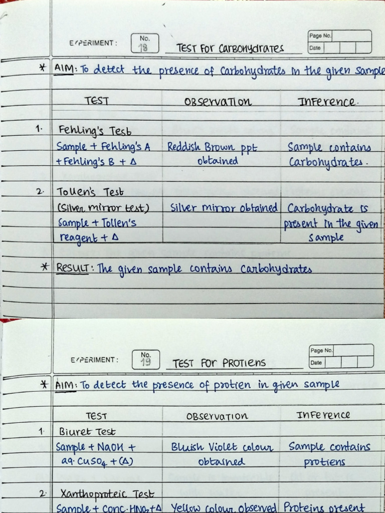 Carbohydrates, Proteins, Oils and Fats Test. | PDF