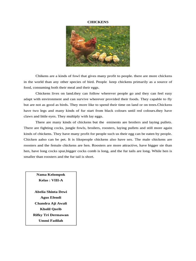 Chickens | PDF