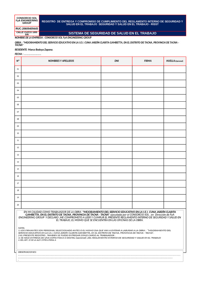 REGISTRO DE ENTREGA DE RISST 2025 | PDF