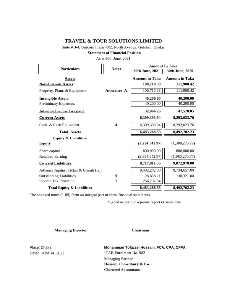 Financial Overview of Travel & Tour Solutions | PDF | Financial ...