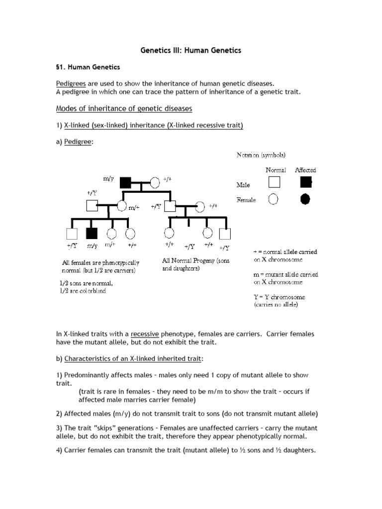 genetics3 | PDF | Dominance (Genetics) | Allele