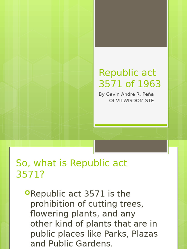 RA-3571 | PDF | Justice | Crime & Violence