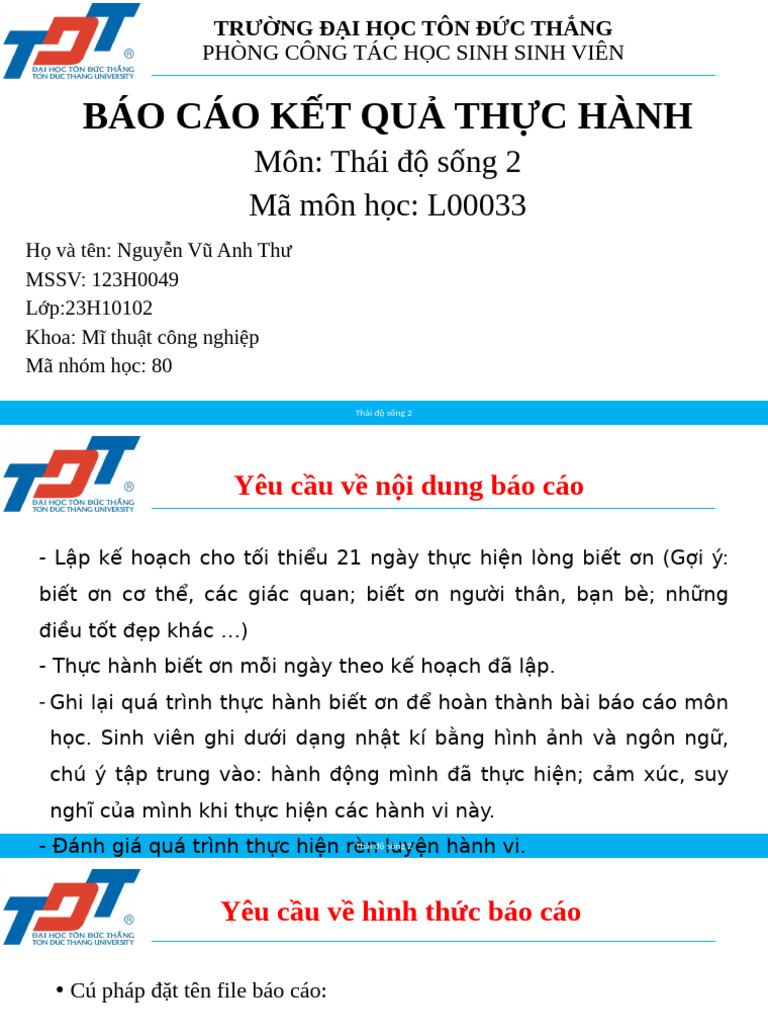 L00033 123H0049 Nguyen Vu Anh Thu | PDF