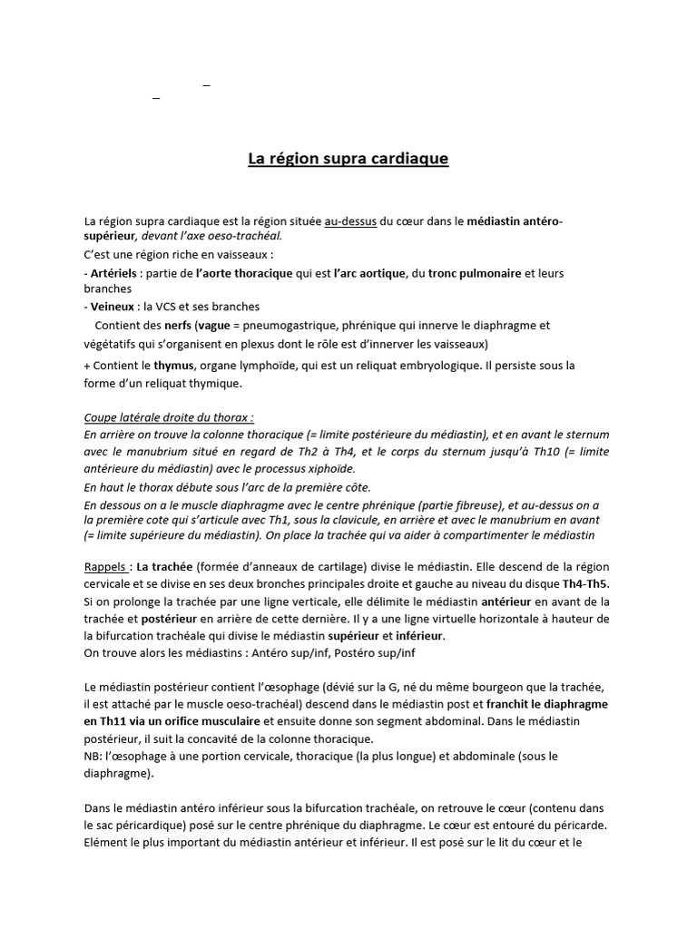 Anatomie de la région supra-cardiaque | PDF | Aorte | Nerf vague