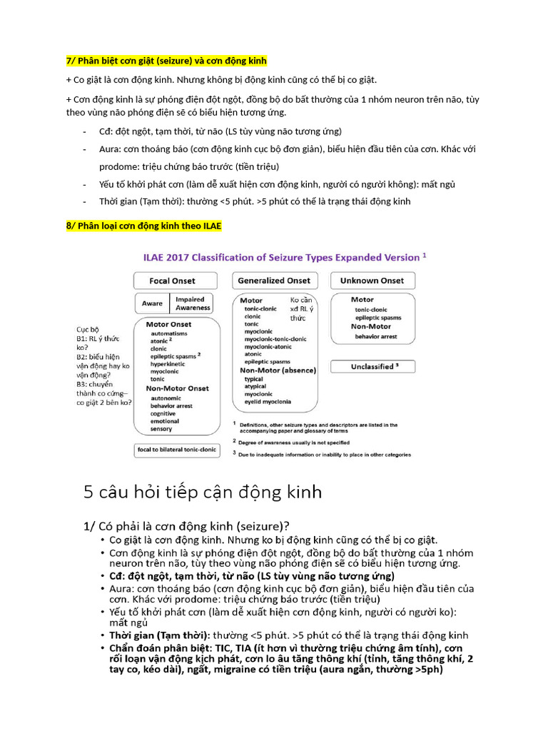 Soan Cau Hoi Thi | PDF