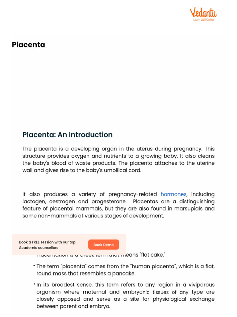 Placenta | PDF