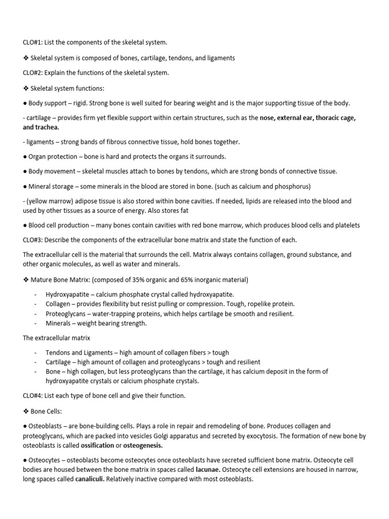 ANAPHY-notes-M5.docx | PDF | Bone | Vertebral Column