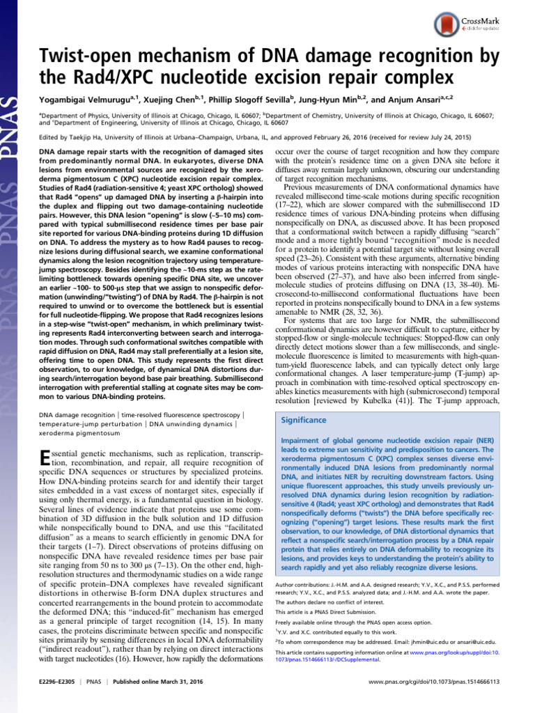Twist-Open Mechanism in DNA Repair | PDF | Dna | Structural Biology