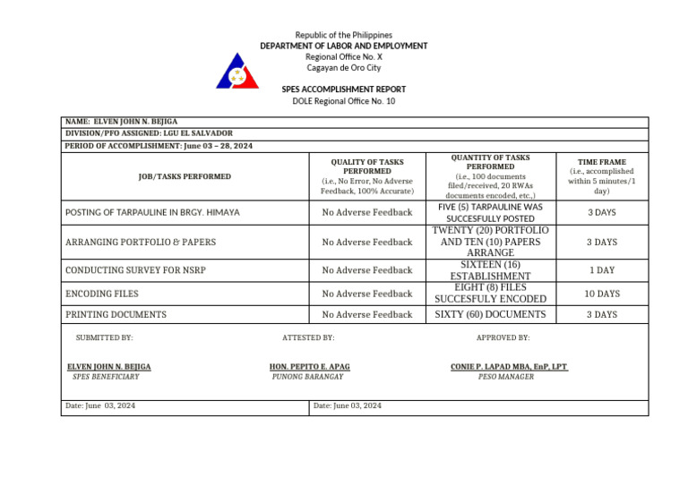 SPES Accomplishment Report 2024 | PDF