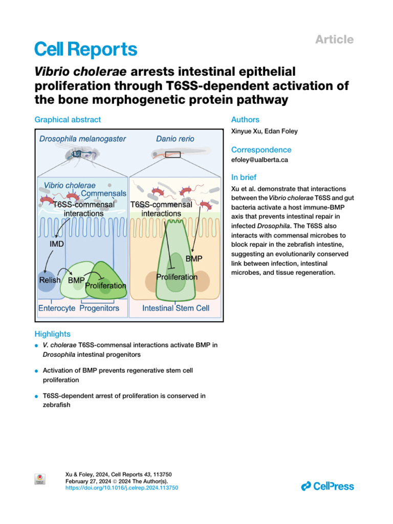 mmc2 | PDF | Immune System | Cholera