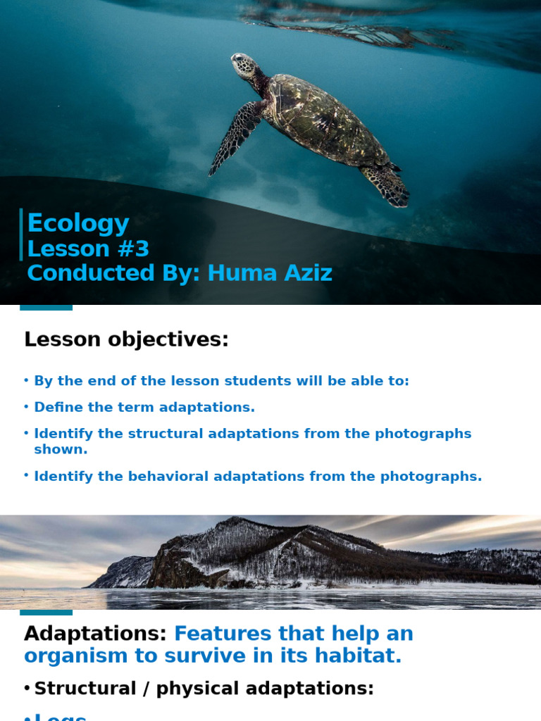 Ecology #3 | PDF