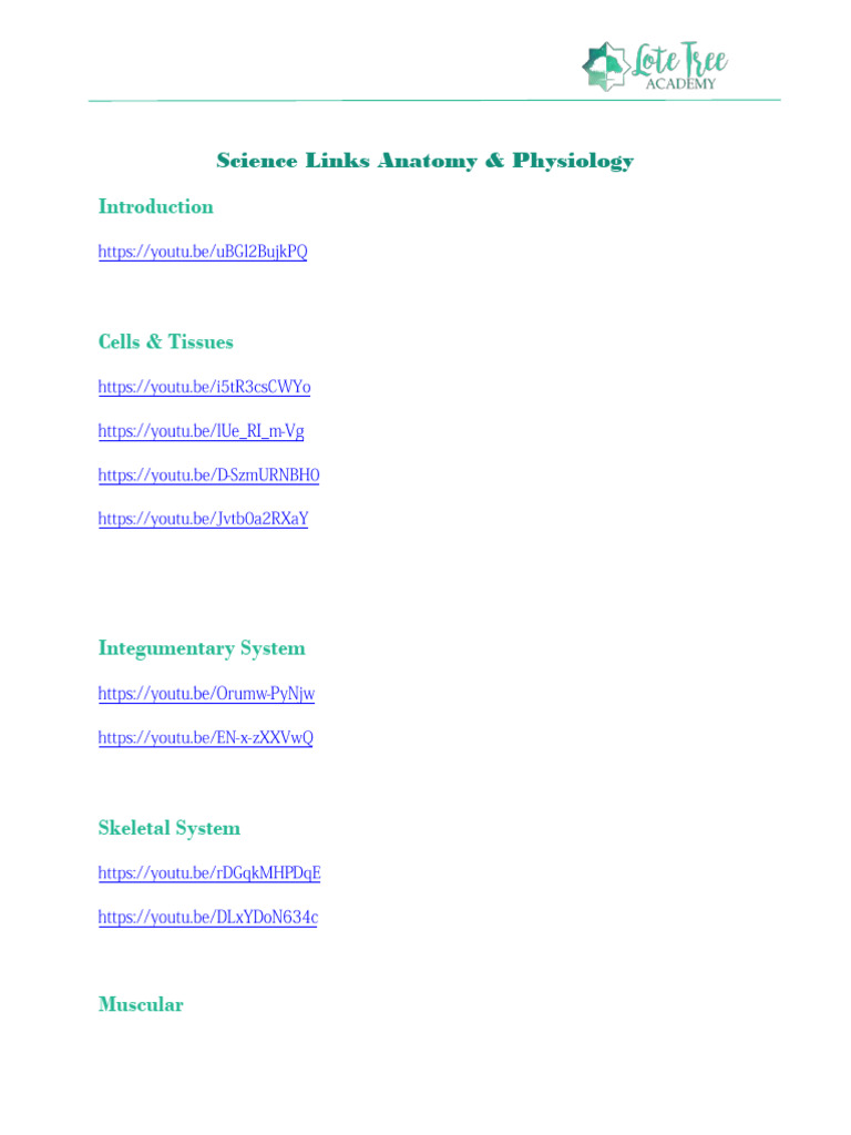 Links Anatomy | PDF