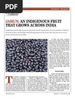 Jamun (Neredu) Fruit - Uses, Benefits, and Problems | PDF | Fruit ...