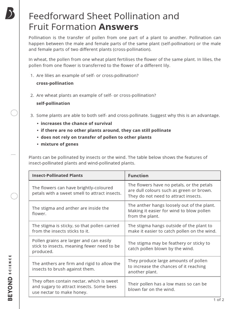 Feedforward Pollination - Answers | PDF | Pollination | Flowers
