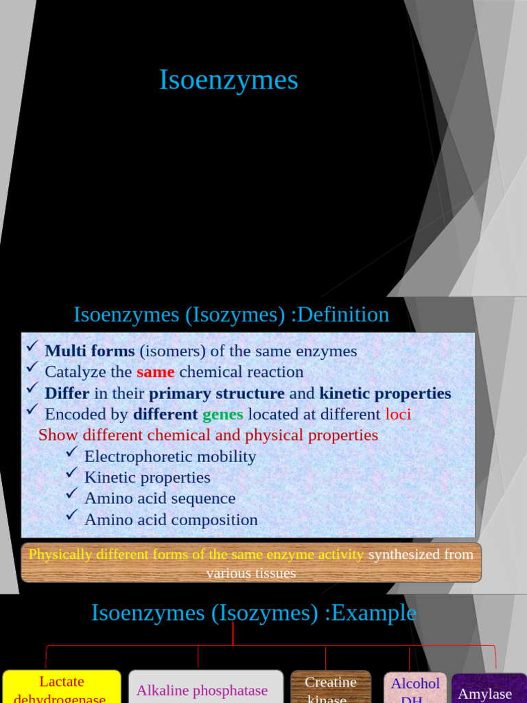 i So Enzymes | PDF | Lactate Dehydrogenase | Macromolecules