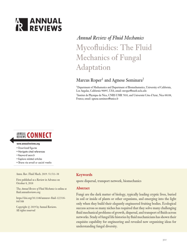 Mushroom adaptation | PDF | Fungus | Mushroom