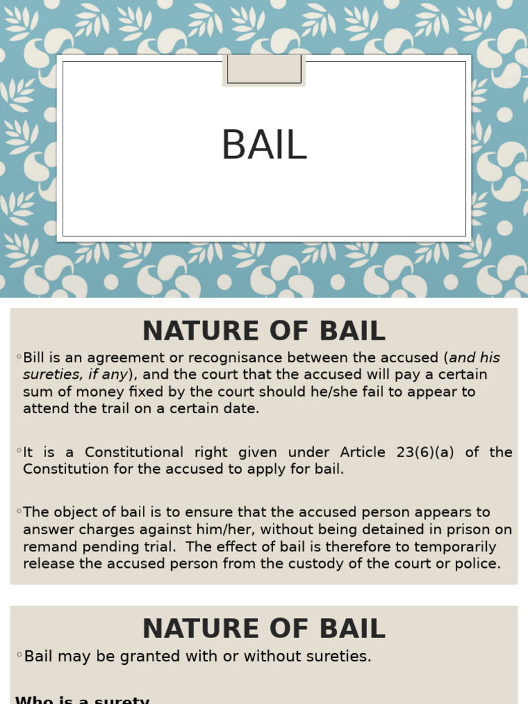 Understanding Bail: Rights and Procedures | PDF | Bail | Criminal ...