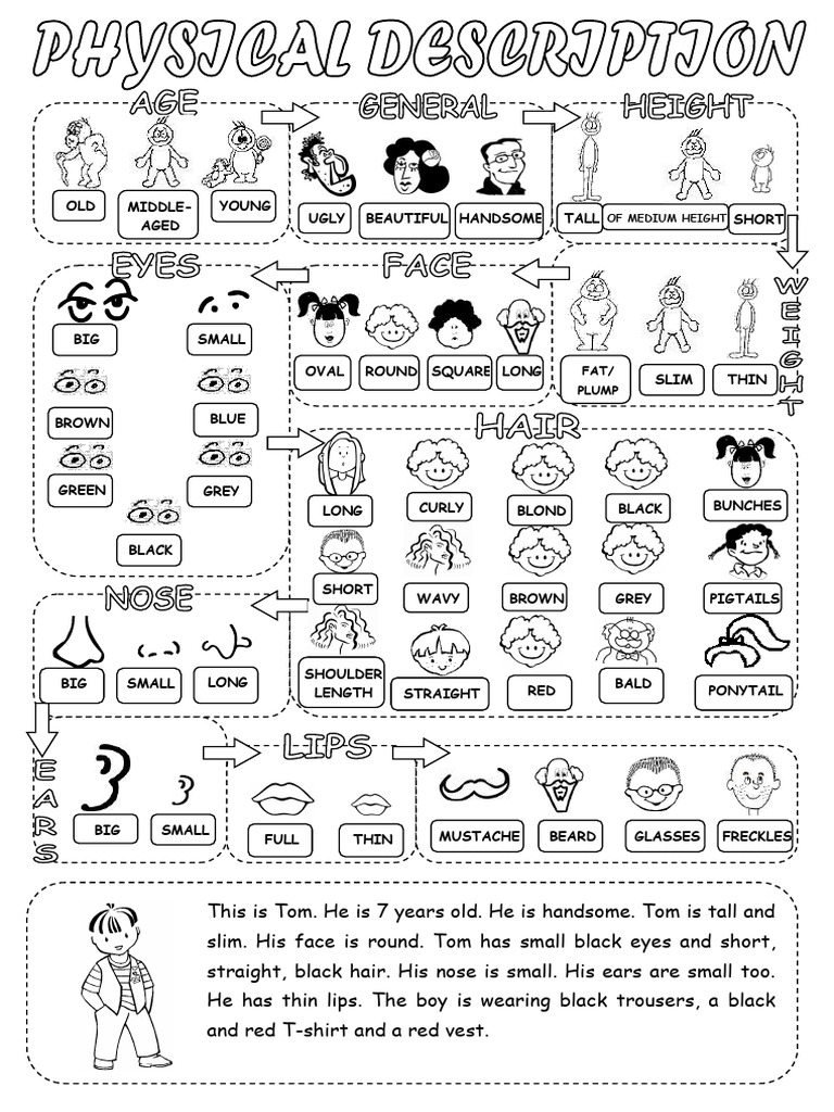 Describing Tom: Age, Appearance, Traits | PDF