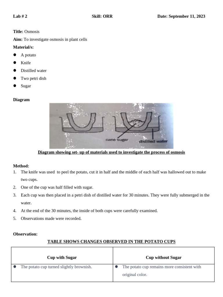 Lab #2 Osmosis | PDF