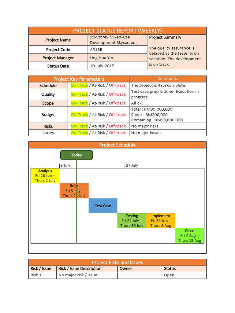Project Status Report | PDF | Software Engineering | Systems Thinking