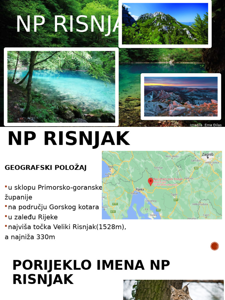 NP Risnjak | PDF