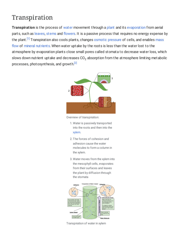 Transpiration - Wikipedia | PDF | Plants | Plant Physiology