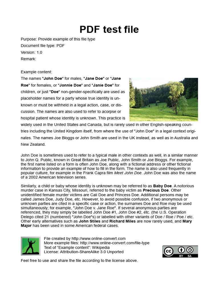 example (1) | PDF | John Doe