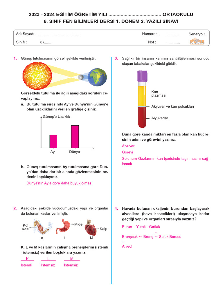 6 Fen 2. Yazılı 1. Senaryo (Cevaplı) | PDF