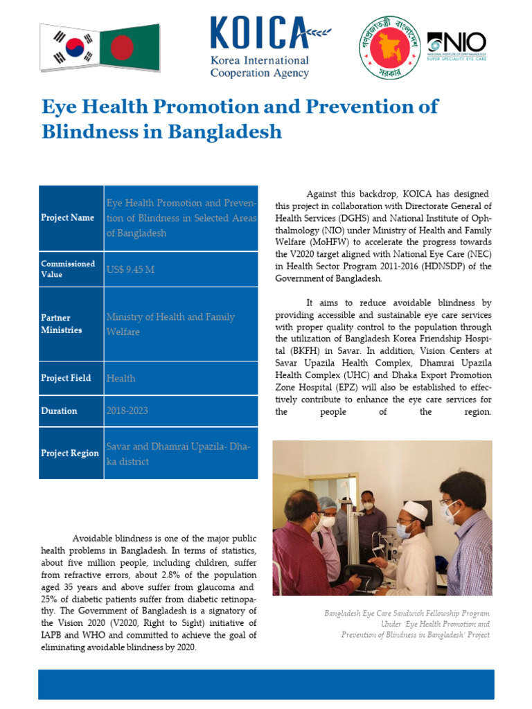 Eye Care Project Brief | PDF | Visual Impairment | Social Programs