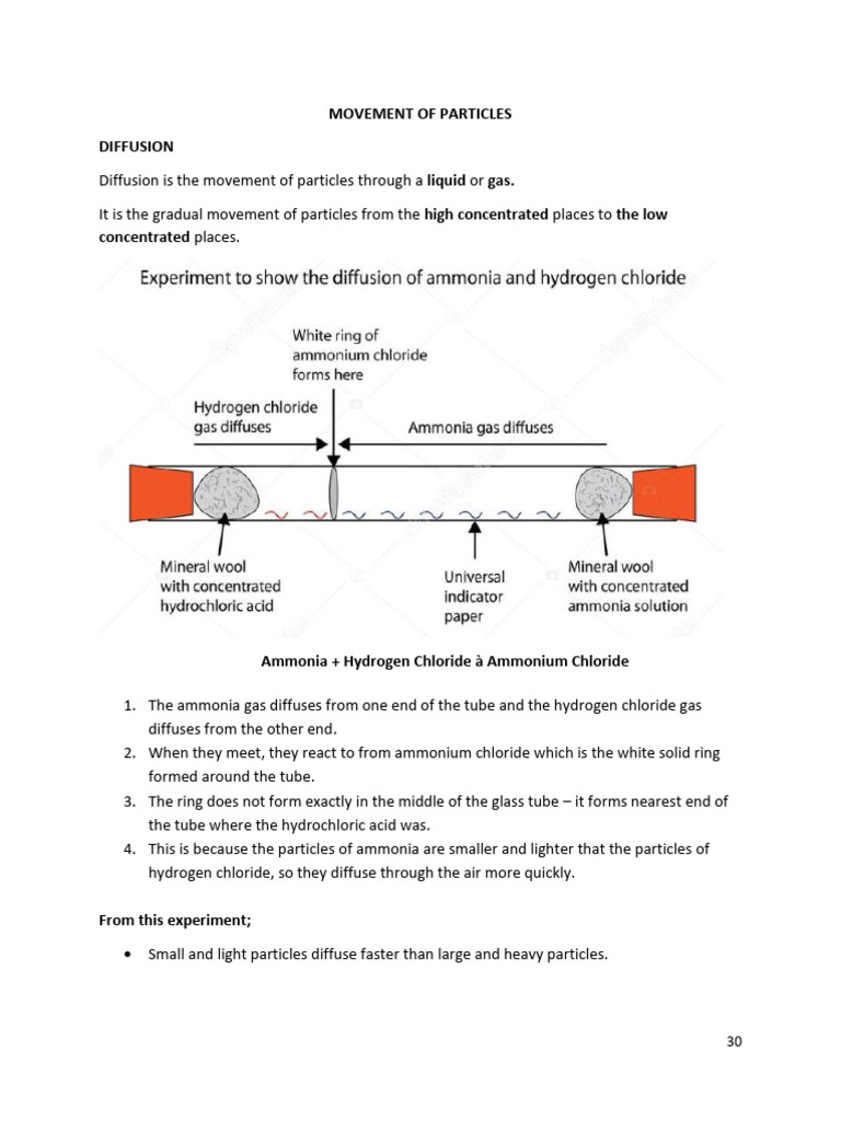 Particle Movement and Atomic Structure | PDF | Ion | Periodic Table