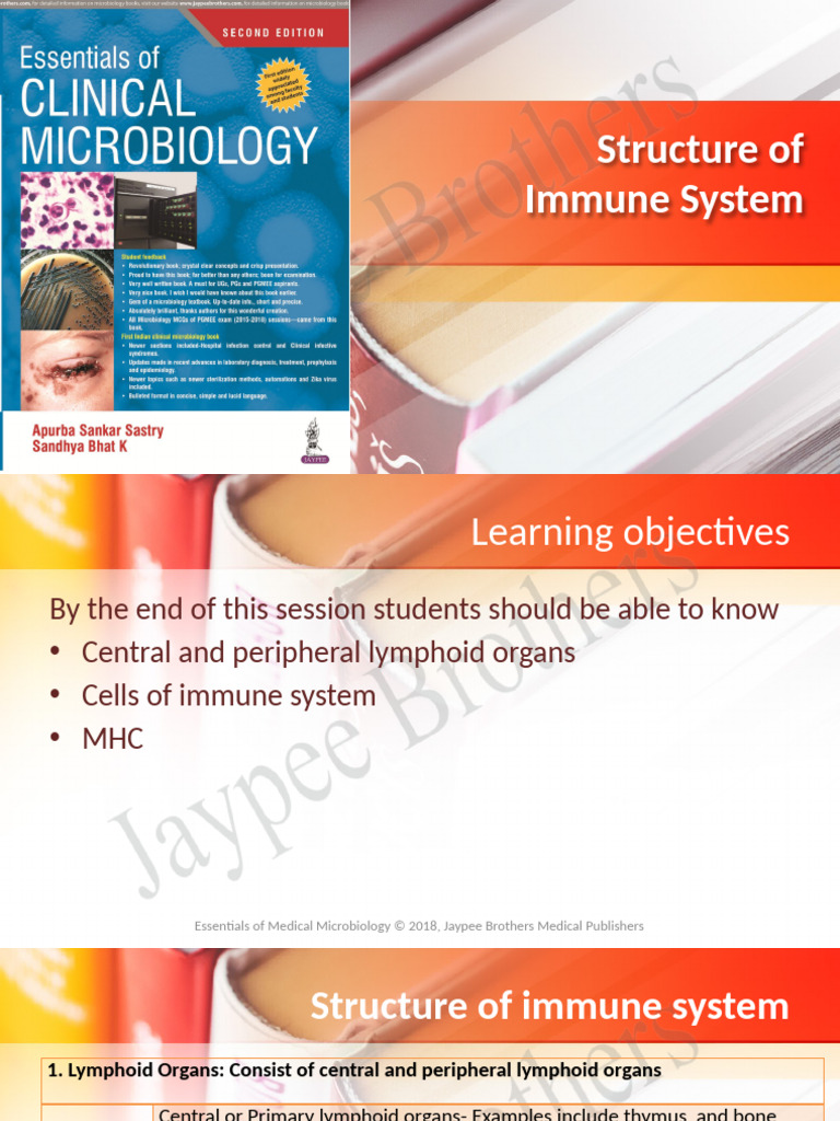 Chapter 14 Structure of Immune System | PDF | Lymph Node | Lymphatic System