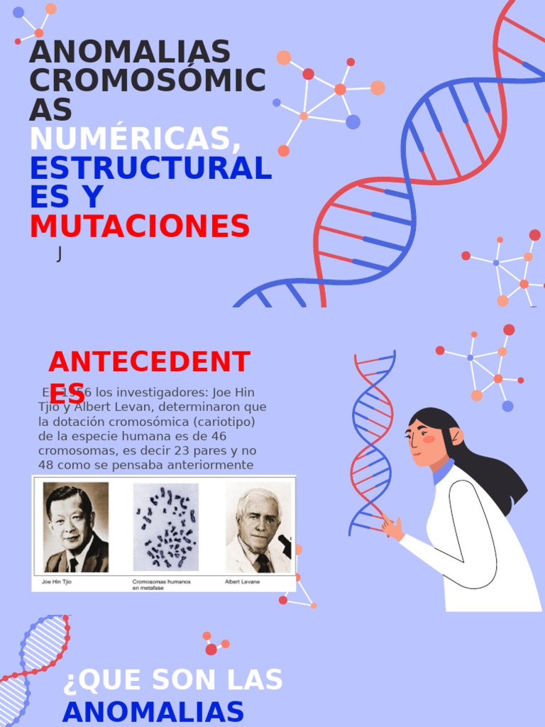 Anomalias Cromosómicas Numéricas, Estructurales y Mutaciones-jacg | PDF | Mutación | Cromosoma
