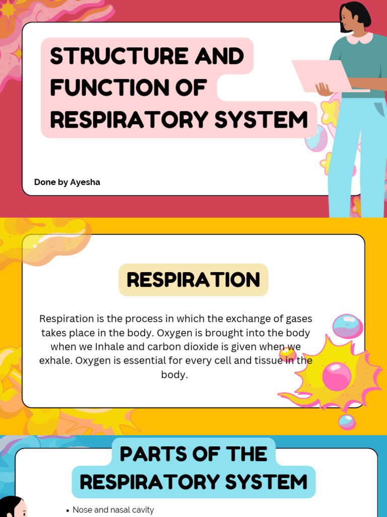Structure and Function of Respiratory System | PDF