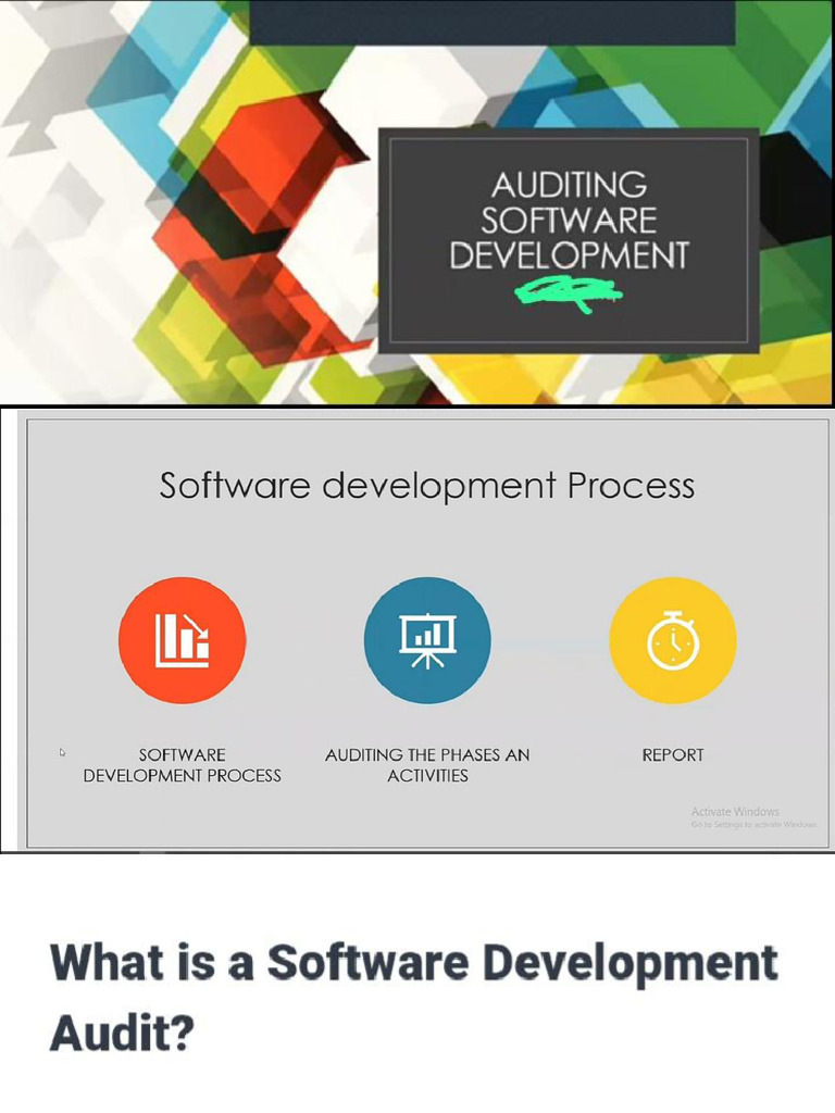 Audit Software Development | PDF