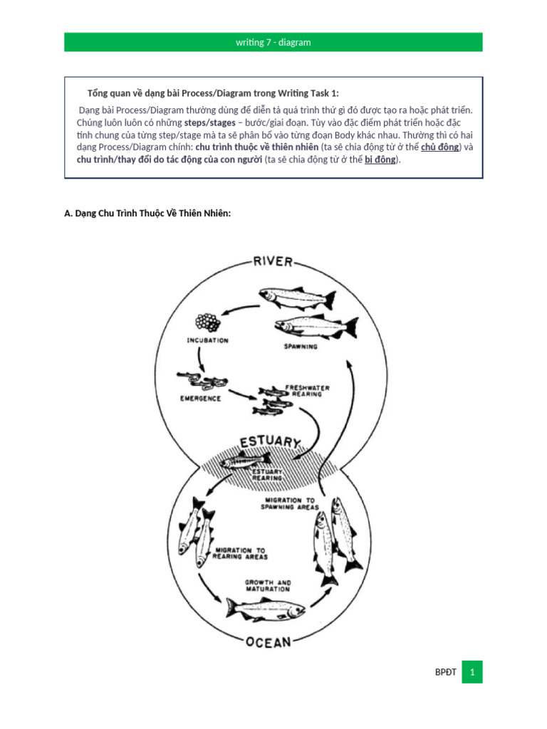 Writing 7 DIAGRAM | PDF