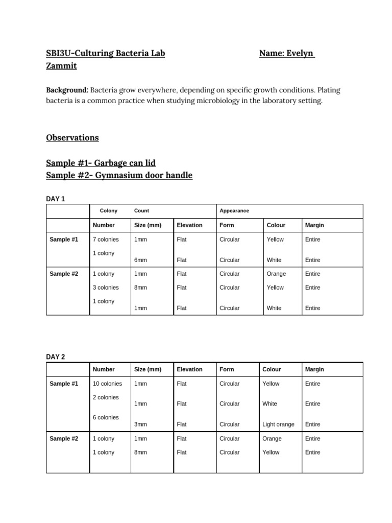 Bacterial Growth Lab (1) | PDF | Bacteria | Escherichia Coli