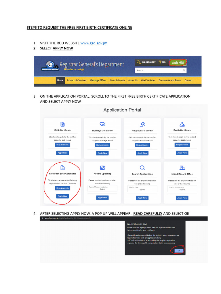 Steps To Request The Free First Birth Certificate Online - Tcedits | PDF