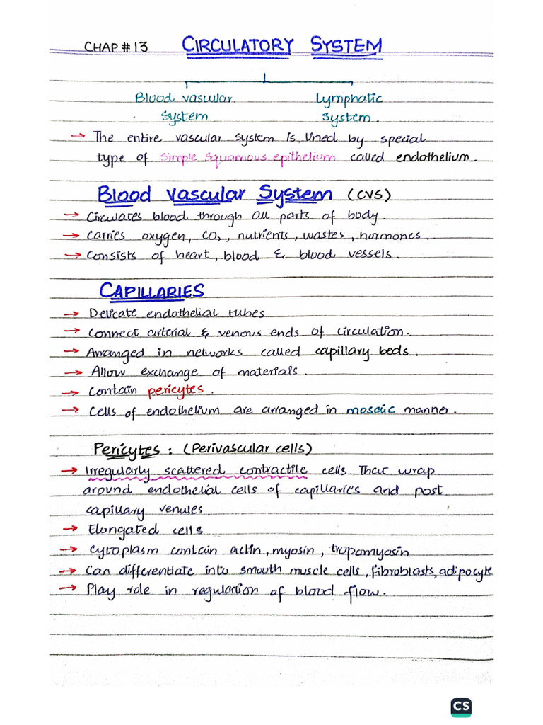 Histo CH 13 CVS | PDF
