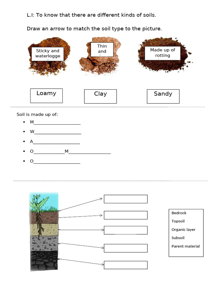 Soils Worksheet LA | PDF