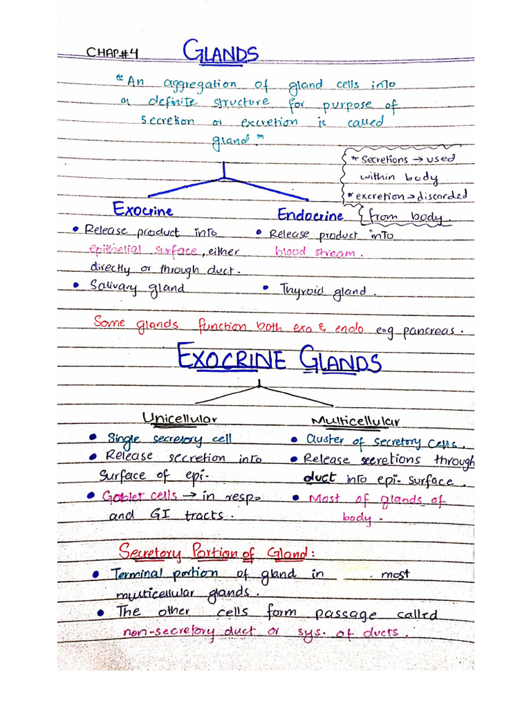 CamScanner Document Scan | PDF