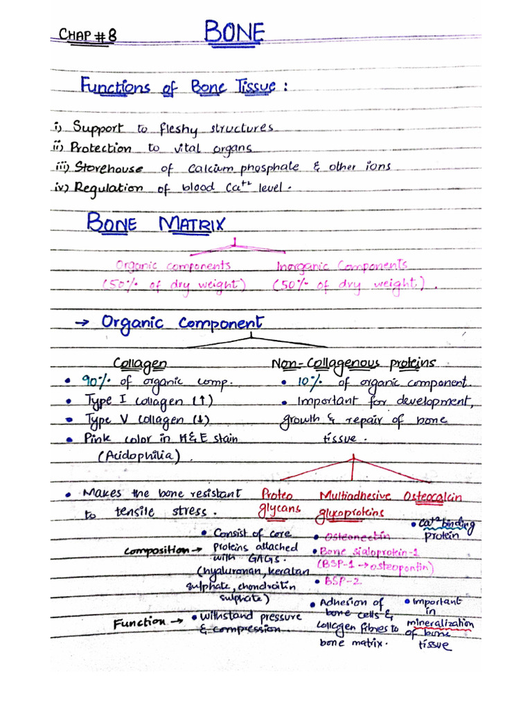 CamScanner Document Scans | PDF