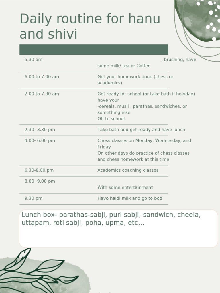 Daily Routine for Hanu and Shivi | PDF