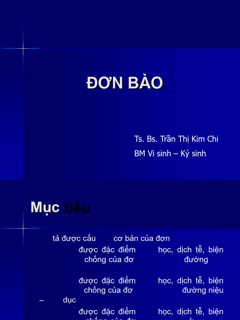 Don Bao 12 Gui SV | PDF