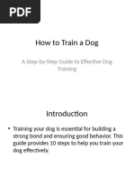 AKC Novice Trick Dog Checklist | PDF | American Kennel Club | Dogs