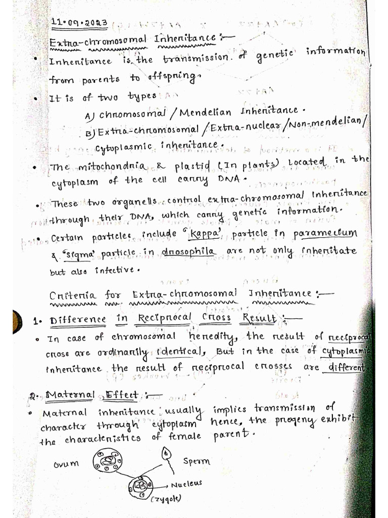 Extra-Chromosomal Inheritance | PDF