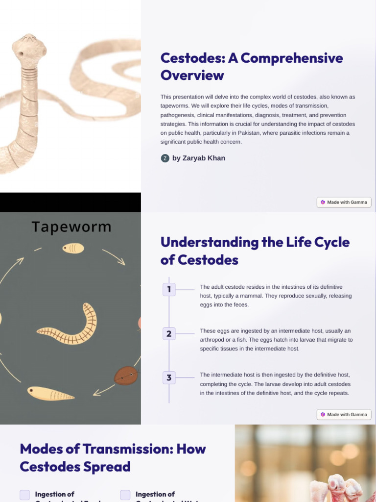 Cestodes-A-Comprehensive-Overview | PDF | Diseases And Disorders | Microbiology
