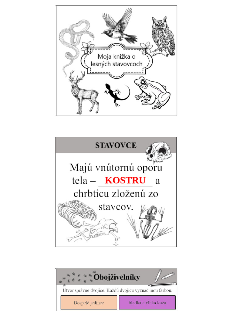 Lesné Stavovce-Knižka-Vypracovanie | PDF