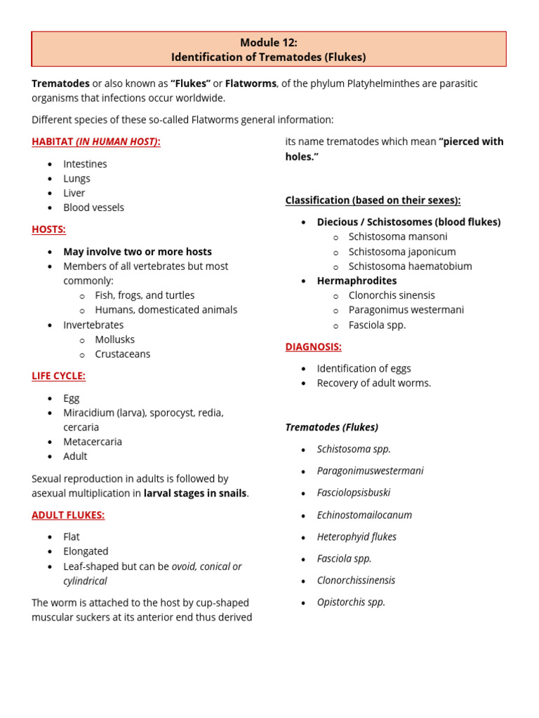 Identification of Trematodes (Flukes) | PDF | Medical Specialties ...
