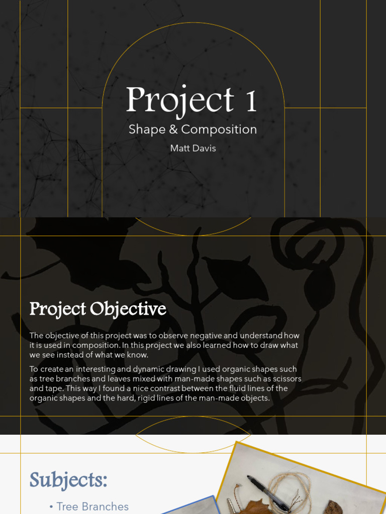 Project 1 - Matt Davis | PDF